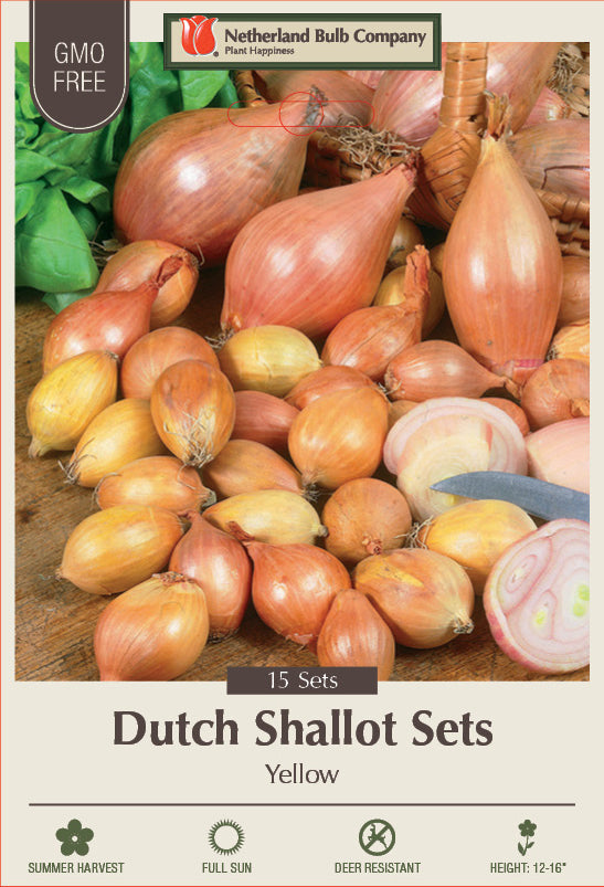 Netherland Bulb Company Dutch Shallot Sets - Grove City, PA - Grove ...